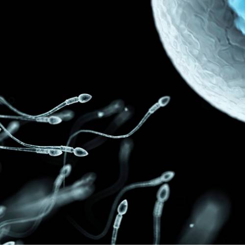Sperm Collection Kits for Freezing | CryoChoice